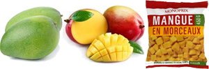 Smoothie à la mangue au Companion | CompanionEtMoi